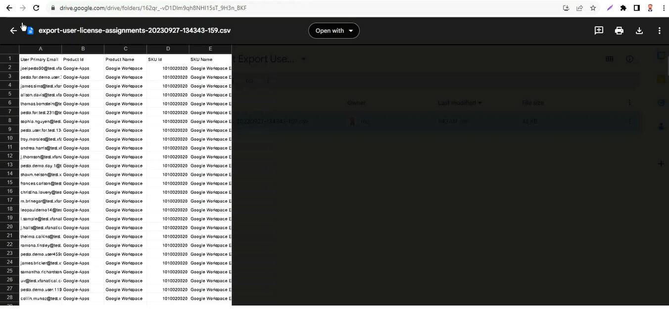 How to Export Google Workspace Licenses