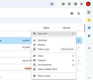 Access Google Workspace Files Offline | xFanatical